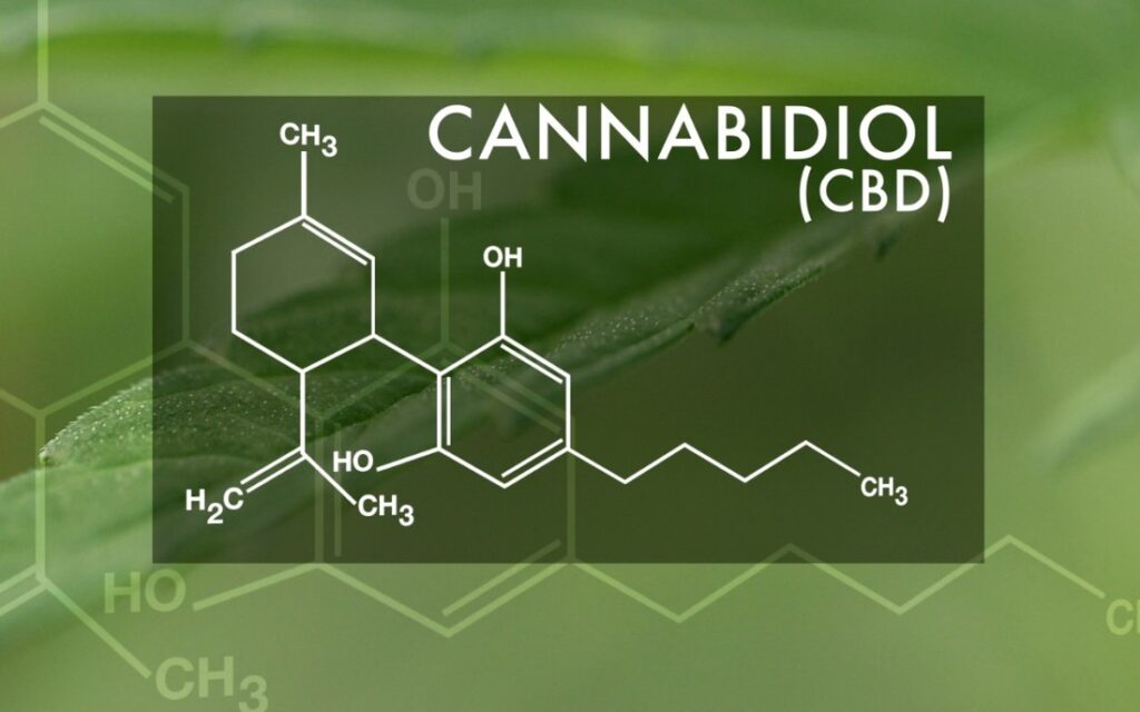 CBD: An Alternative Treatment for Alzheimer's Disease | The Higher Path